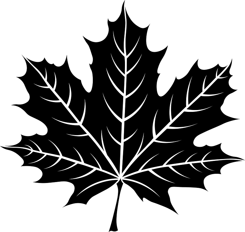 Maple Leaf - Free vector clipart images on creazilla.com