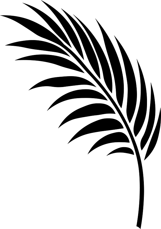 Palm Frond - Free vector clipart images on creazilla.com