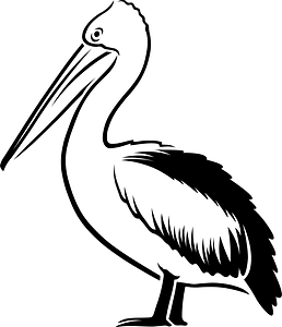 Pelican - Free vector clipart images on creazilla.com