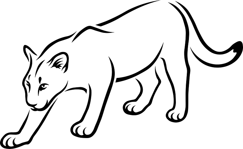 Puma clipart. Free download transparent .PNG | Creazilla