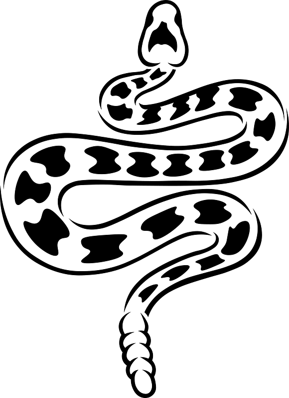 Rattlesnake - Free vector clipart images on creazilla.com