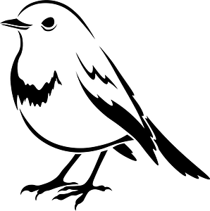 Robin - Free vector clipart images on creazilla.com
