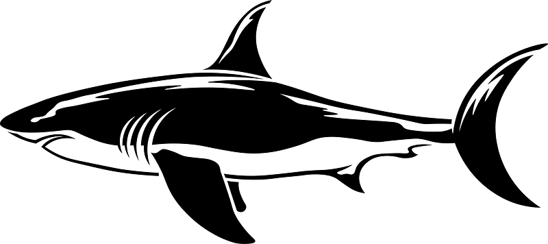 Shark - Free vector clipart images on creazilla.com