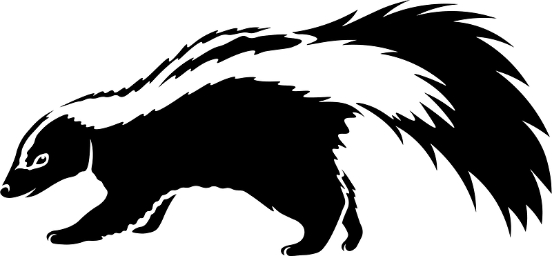Skunk - Free vector clipart images on creazilla.com