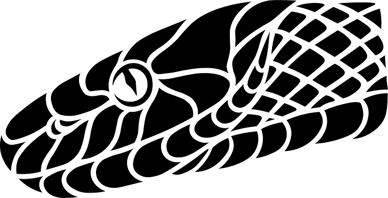 Snake Head - Free vector clipart images on creazilla.com