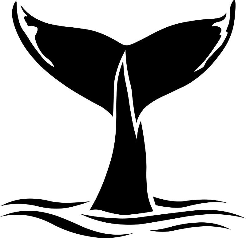 Whale Tail - Free vector clipart images on creazilla.com