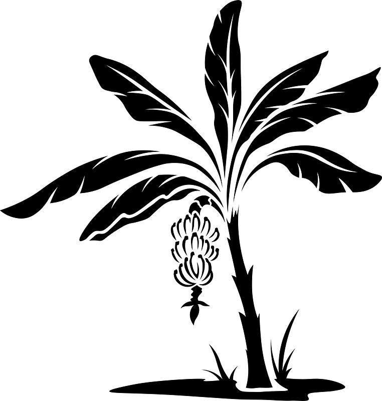 Banana Tree - Free vector clipart images on creazilla.com