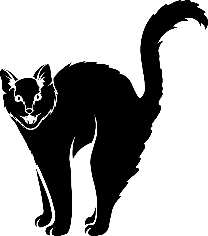 Scary Cat clipart. Free download transparent .PNG | Creazilla