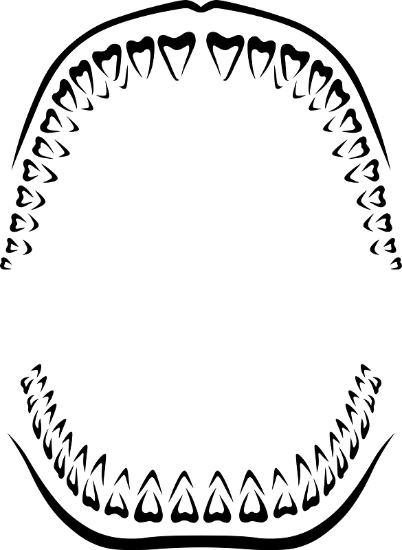 Shark Teeth clipart. Free download transparent .PNG | Creazilla