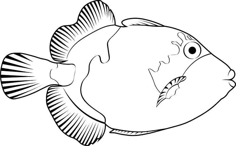 Titan triggerfish (Balistoides viridescens) - Free vector clipart ...