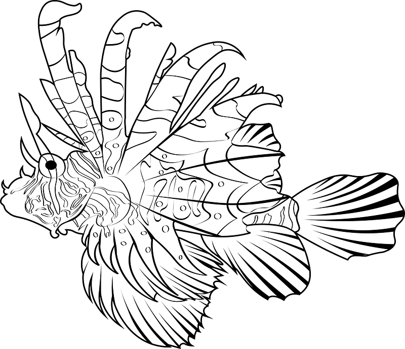 Devil firefish (Pterois miles) - Free vector clipart images on ...