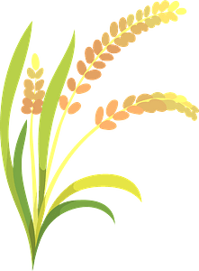 Ear of rice - Free vector clipart images on creazilla.com