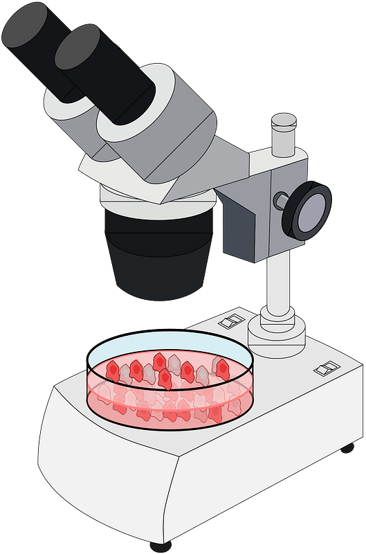 Microscope - Free vector clipart images on creazilla.com