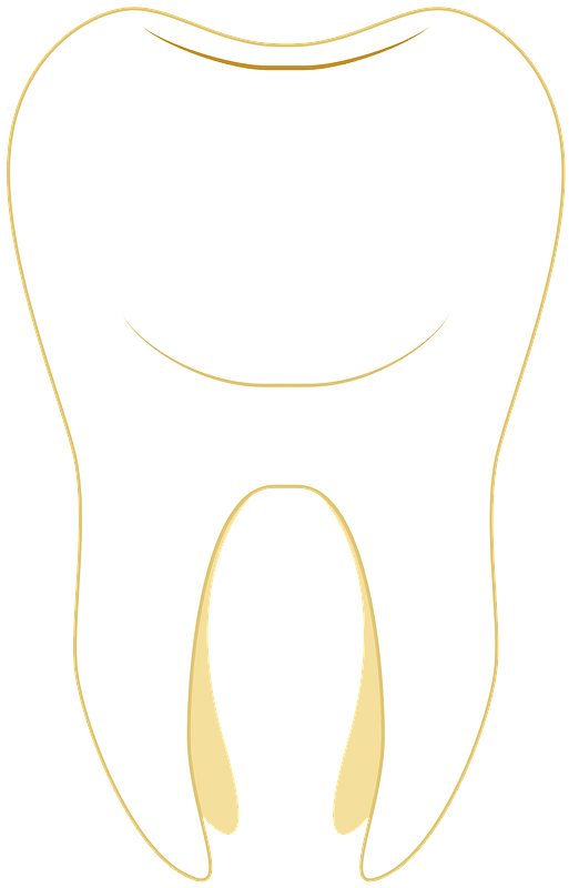 Tooth - Free vector clipart images on creazilla.com