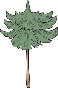 Evergreen tree - Free vector clipart images on creazilla.com