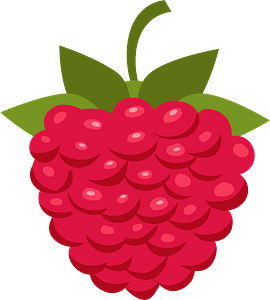 Raspberry clipart. Free download transparent .PNG | Creazilla