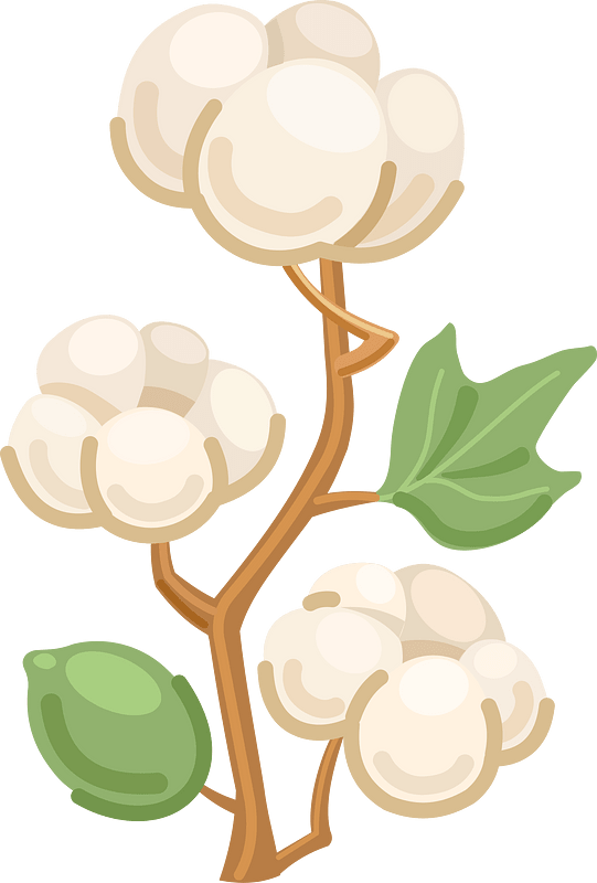 Algodón clipart. Dibujos animados descargar gratis. | Creazilla