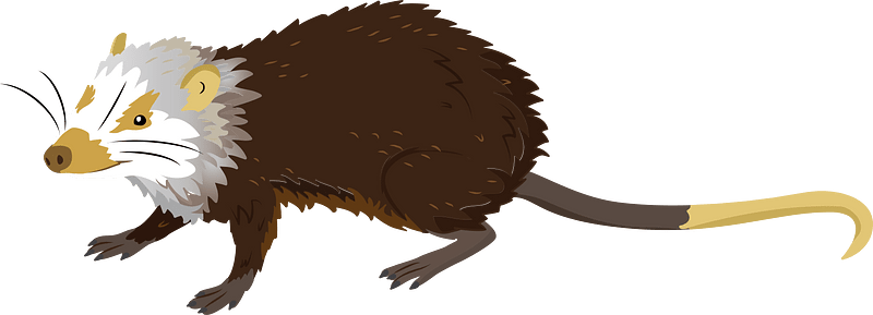 Moonrat - Free vector clipart images on creazilla.com