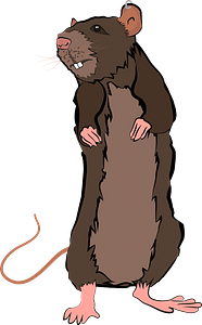 Rata - Imágenes prediseñadas vectoriales gratuitas en creazilla.com