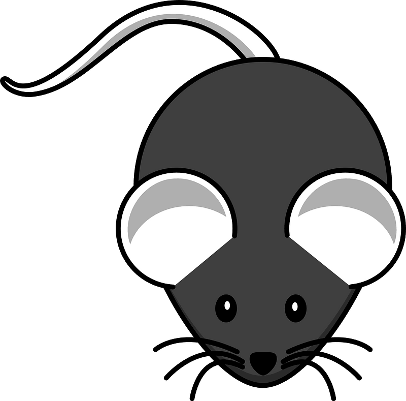 Cartoon grey mouse clipart. Free download transparent .PNG | Creazilla