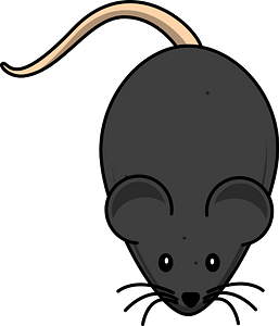 Cartoon black mouse clipart. Free download transparent .PNG | Creazilla