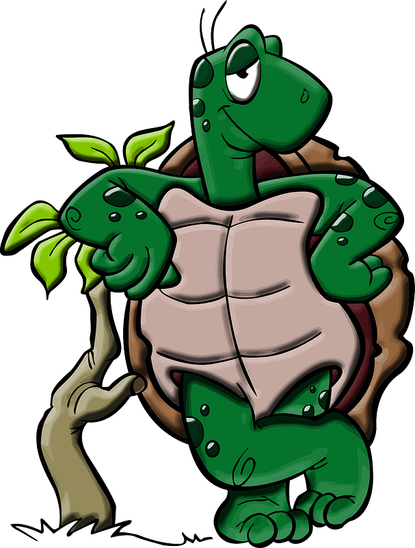 Funny turtle clipart. Free download transparent .PNG | Creazilla