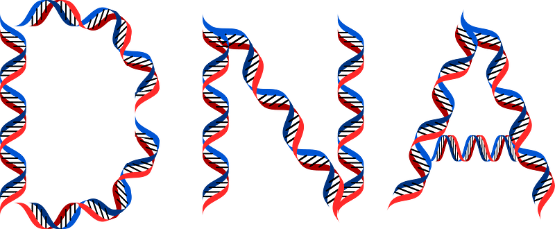 Dna clipart. Free download transparent .PNG | Creazilla