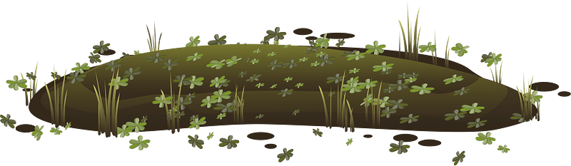 Peat clipart. Free download transparent .PNG | Creazilla