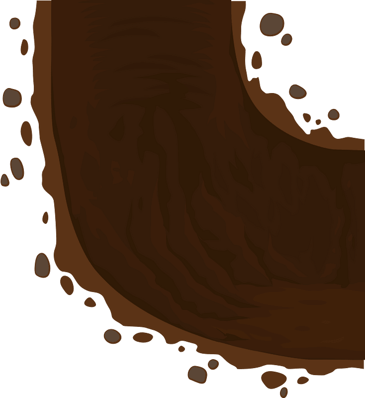 Curve bottom - Free vector clipart images on creazilla.com