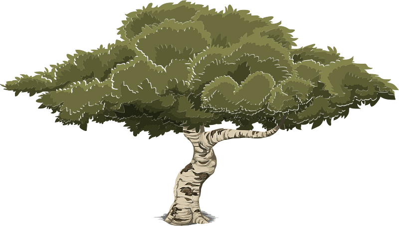 Deciduous tree clipart. Free download transparent .PNG | Creazilla
