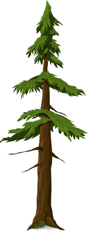 Green coniferous tree - Free vector clipart images on creazilla.com