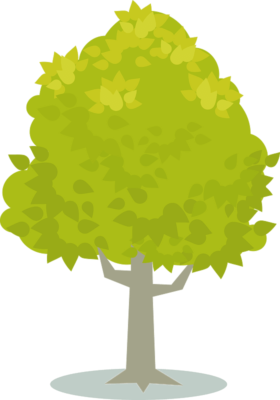 Light green tree clipart. Free download transparent .PNG | Creazilla