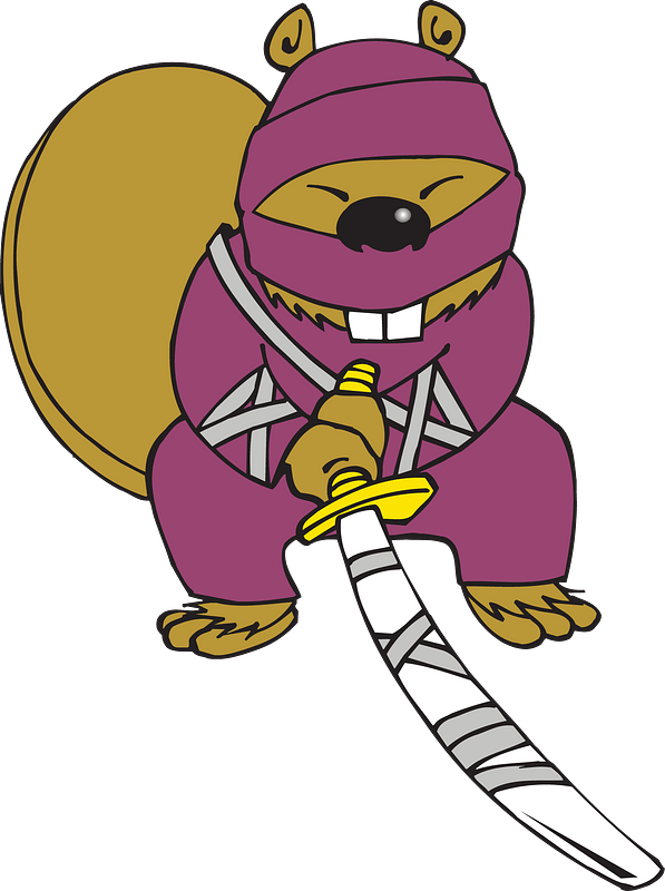 Beaver ninja clipart. Free download transparent .PNG | Creazilla
