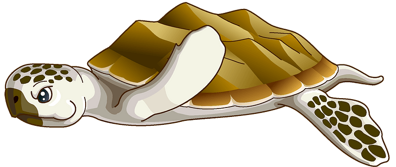 Turtle Swimming - Flipper Up clipart. Free download transparent .PNG ...