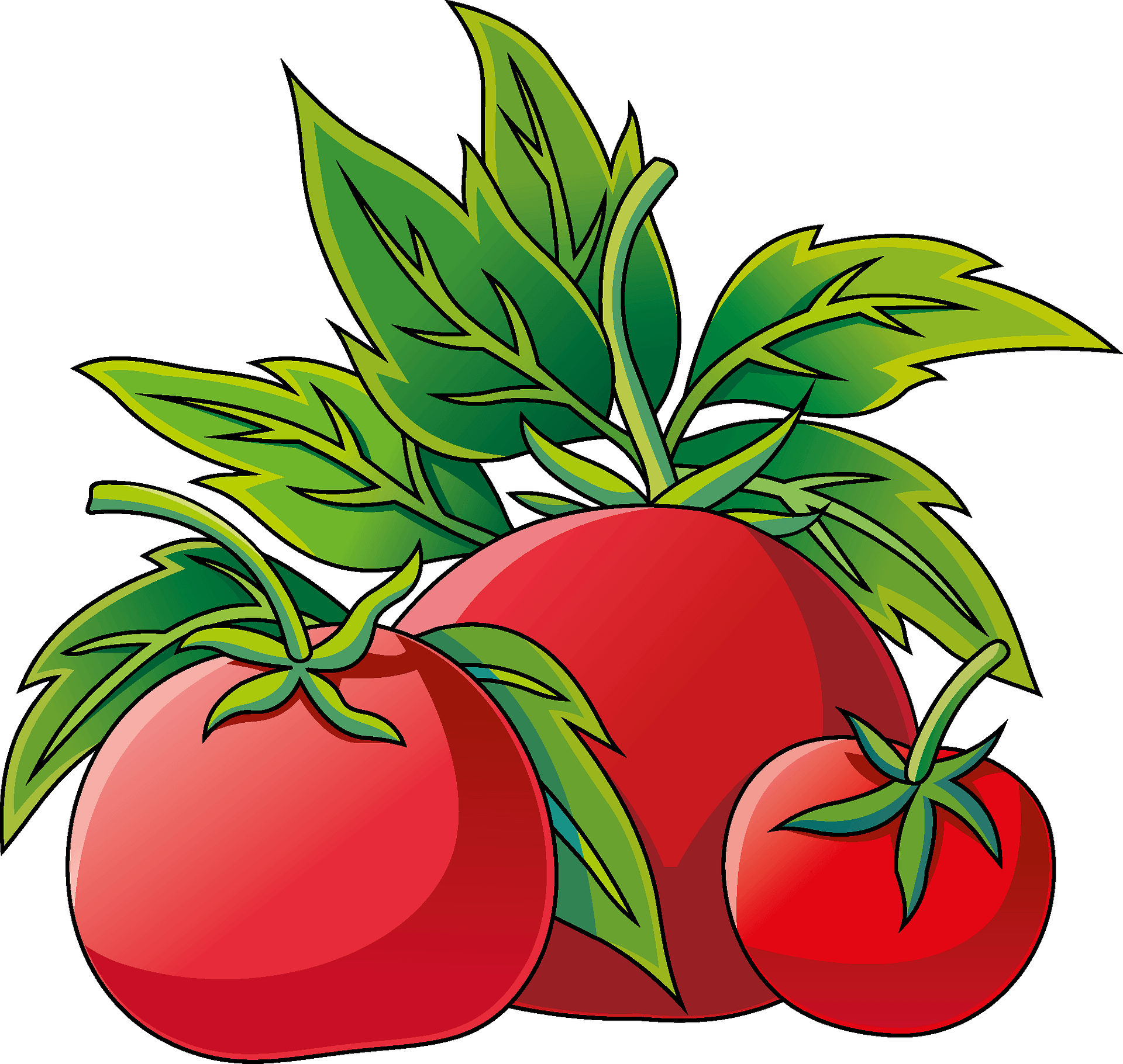 Kamatis Clipart