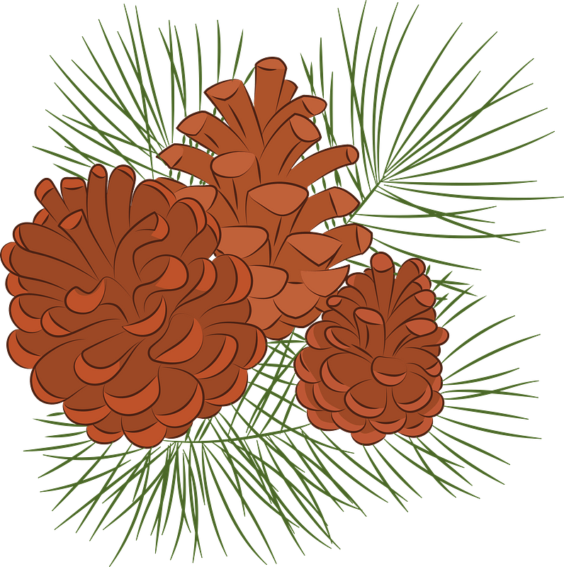 Simple Pine Cone Clip Art