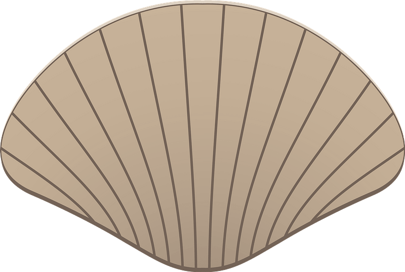 Scallop Seashell - Free vector clipart images on creazilla.com
