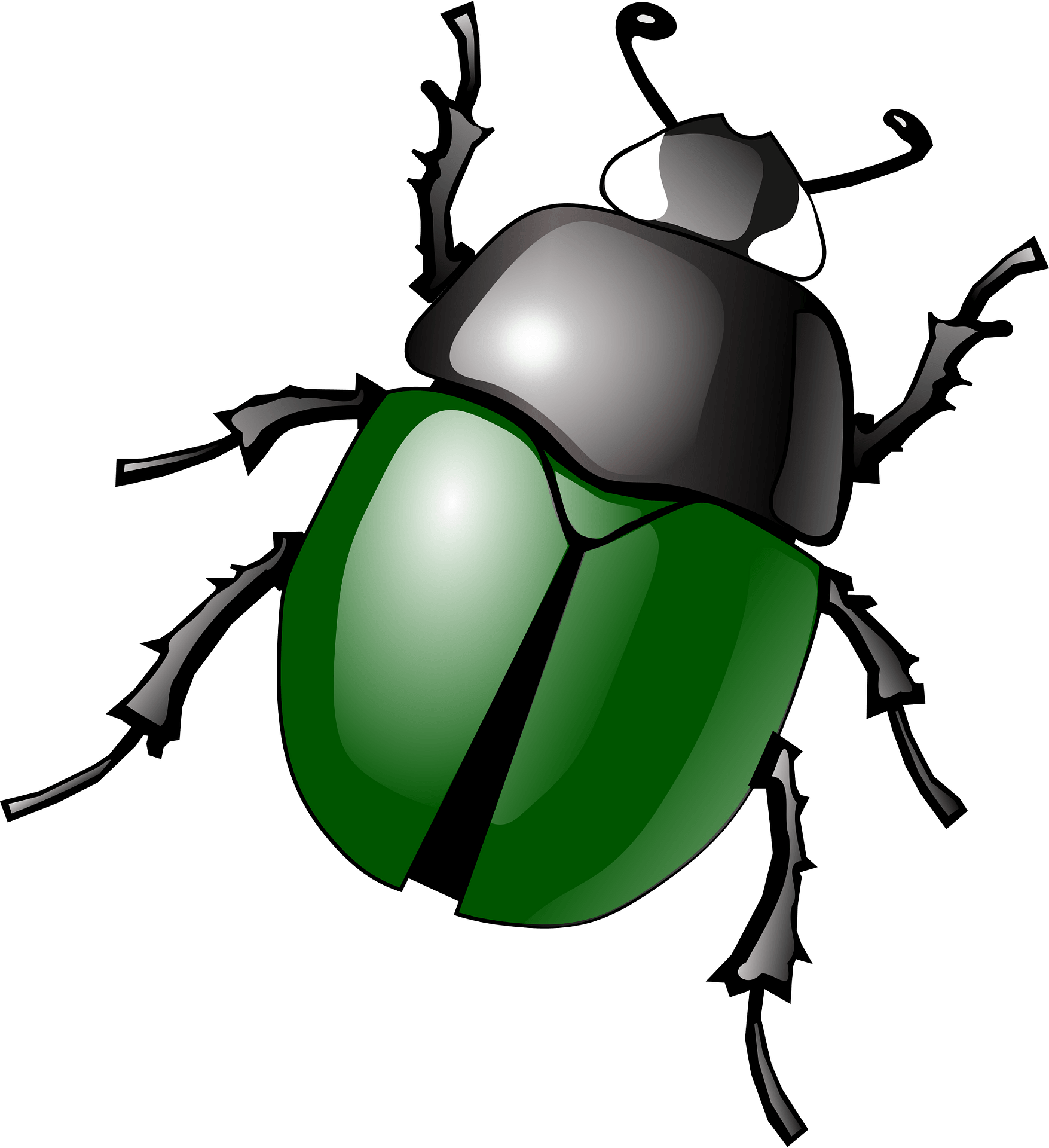Scarab Clip Art