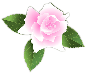 Pink Rose - Free vector clipart images on creazilla.com