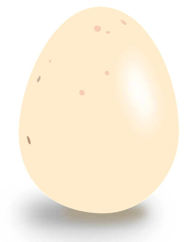 Speckled Egg clipart. Free download transparent .PNG | Creazilla