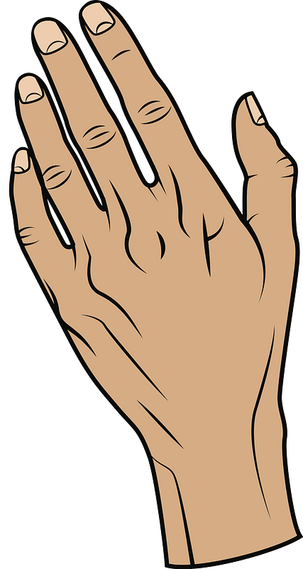 Aged Hand clipart. Free download transparent .PNG | Creazilla