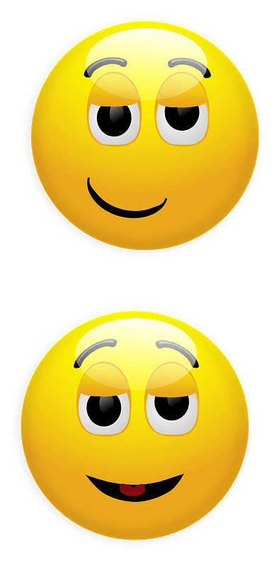 Slight Smile Emoticon