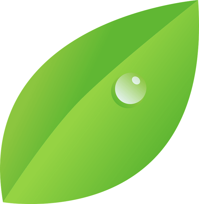 Dew Drop - Free vector clipart images on creazilla.com