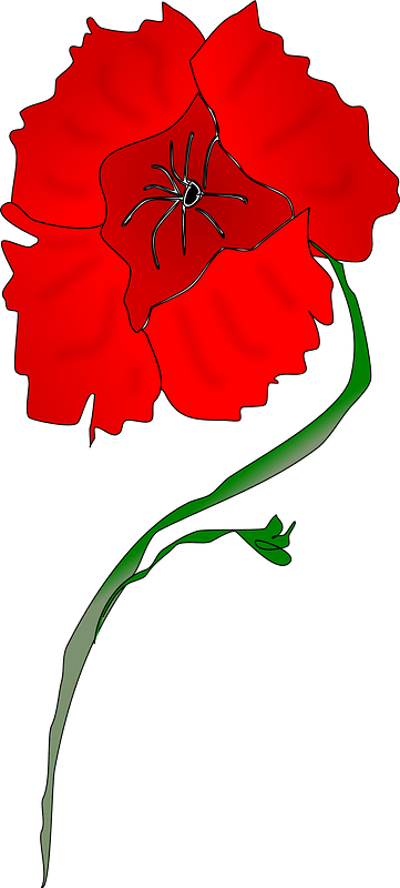 Red Poppy - Free vector clipart images on creazilla.com