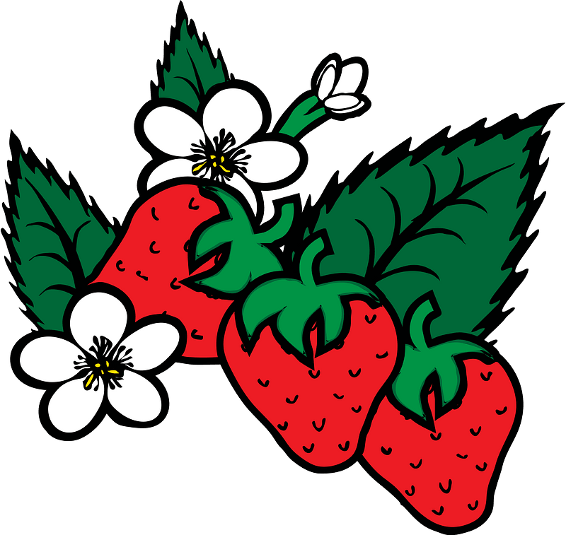 Strawberries Plants with White Flowers and Leaves - Free vector clipart ...