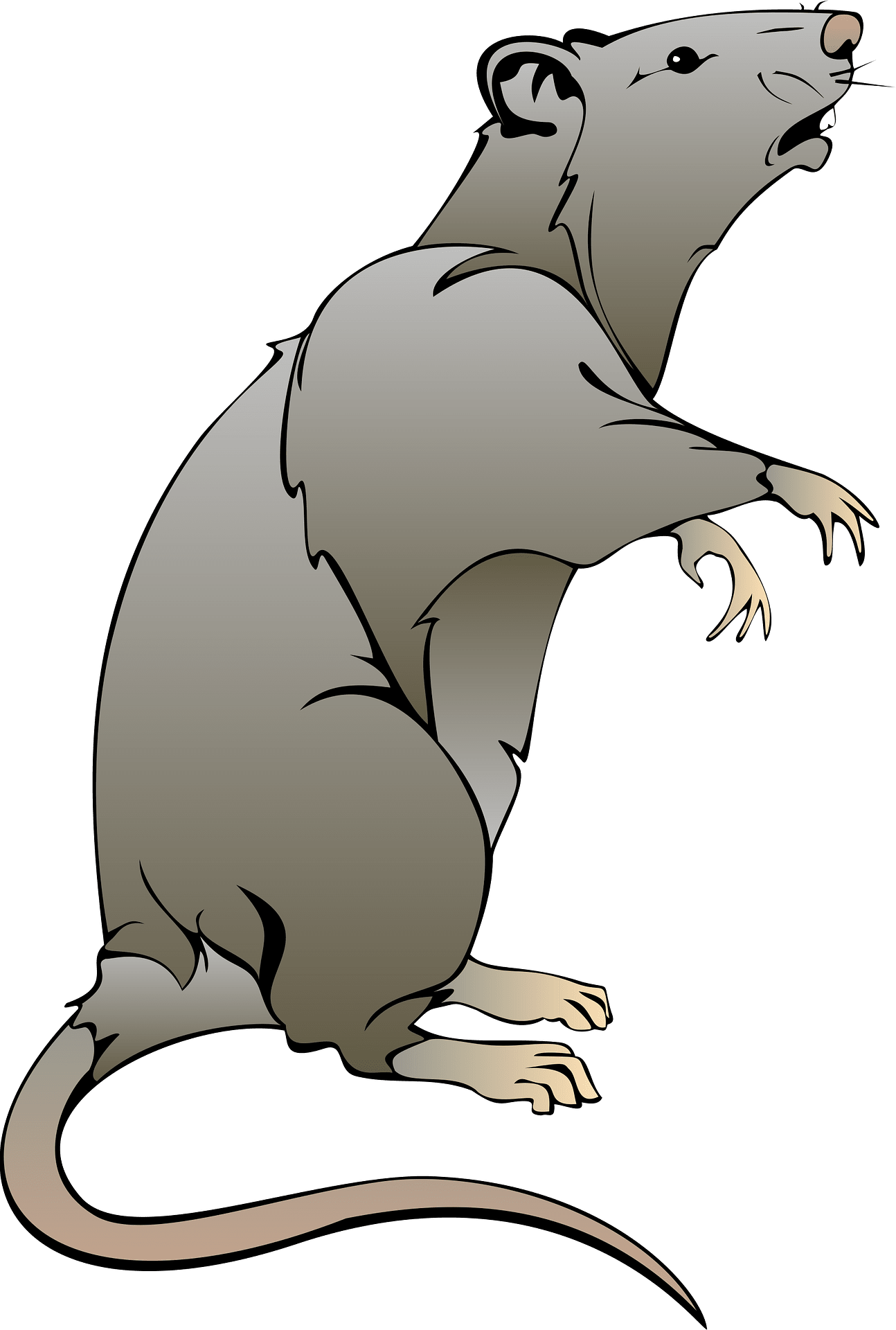 Mouse clipart. Free download transparent .PNG | Creazilla