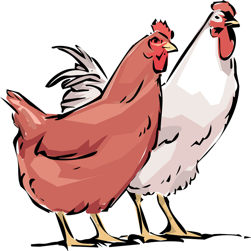 Hen clipart. Free download transparent .PNG | Creazilla