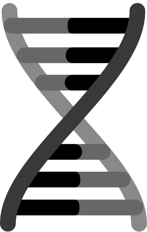 Gene icon clipart. Free download transparent .PNG | Creazilla
