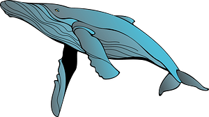 Whale - Free vector clipart images on creazilla.com