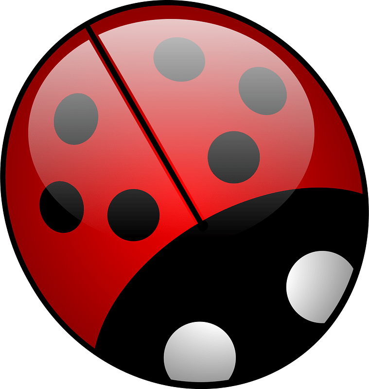 Ladybug clipart. Free download transparent .PNG | Creazilla